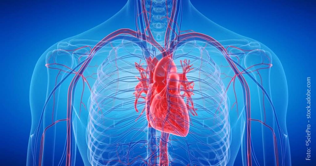 Ausgezeichnet! Große Anerkennung für das Contilia Herz- und ...